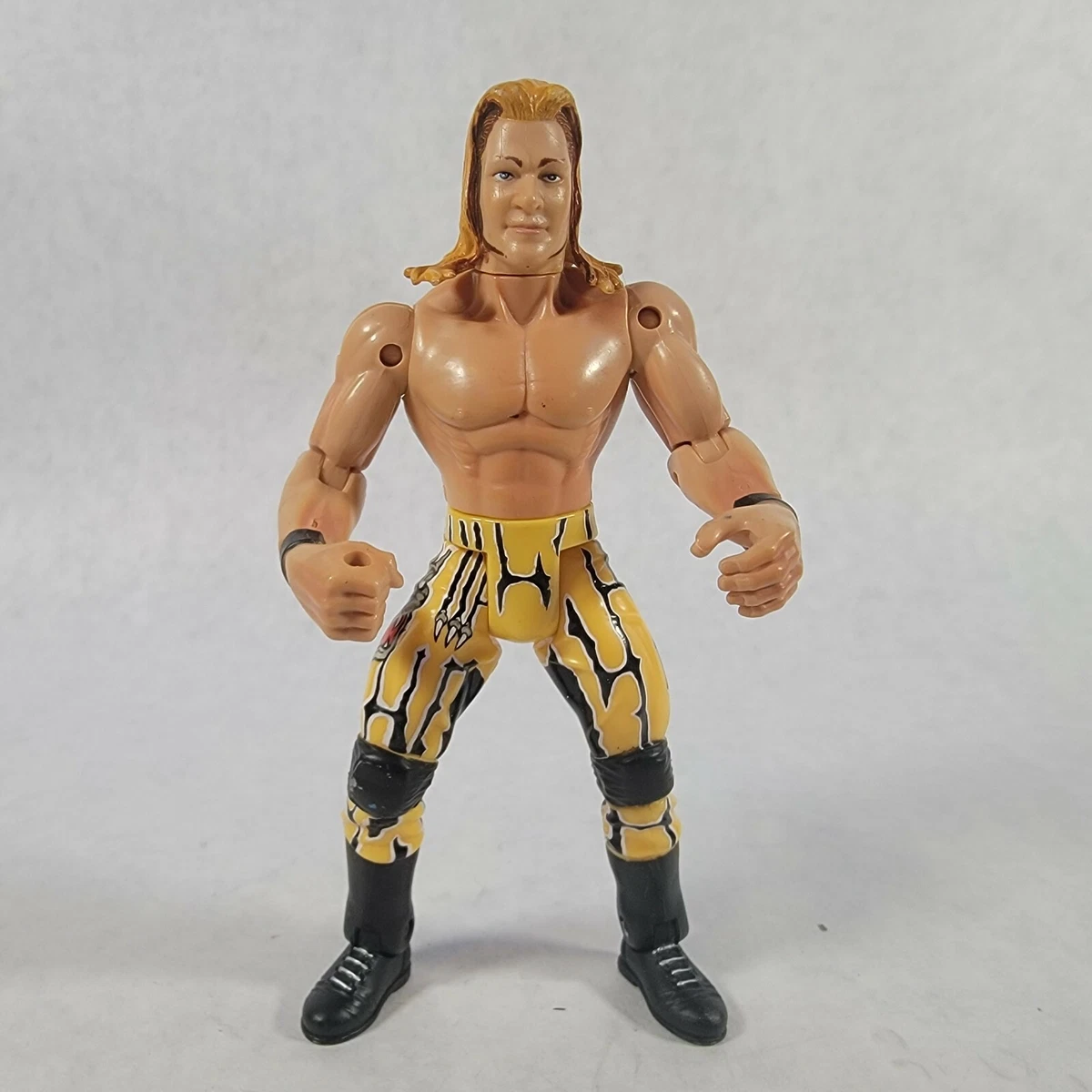 Lionheart Chris Jericho