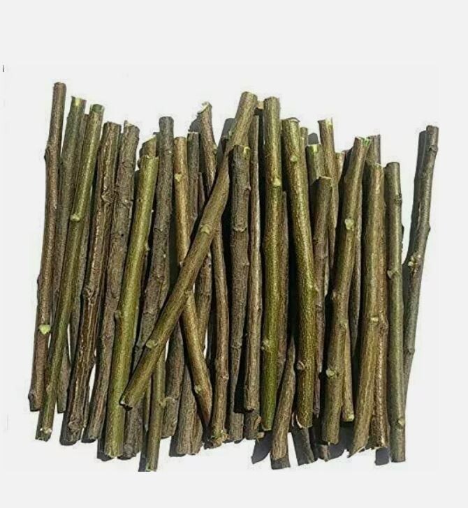 Neem Tree Twigs – Natural Neem Datun Organic Toothbrush | 20 Chew ...