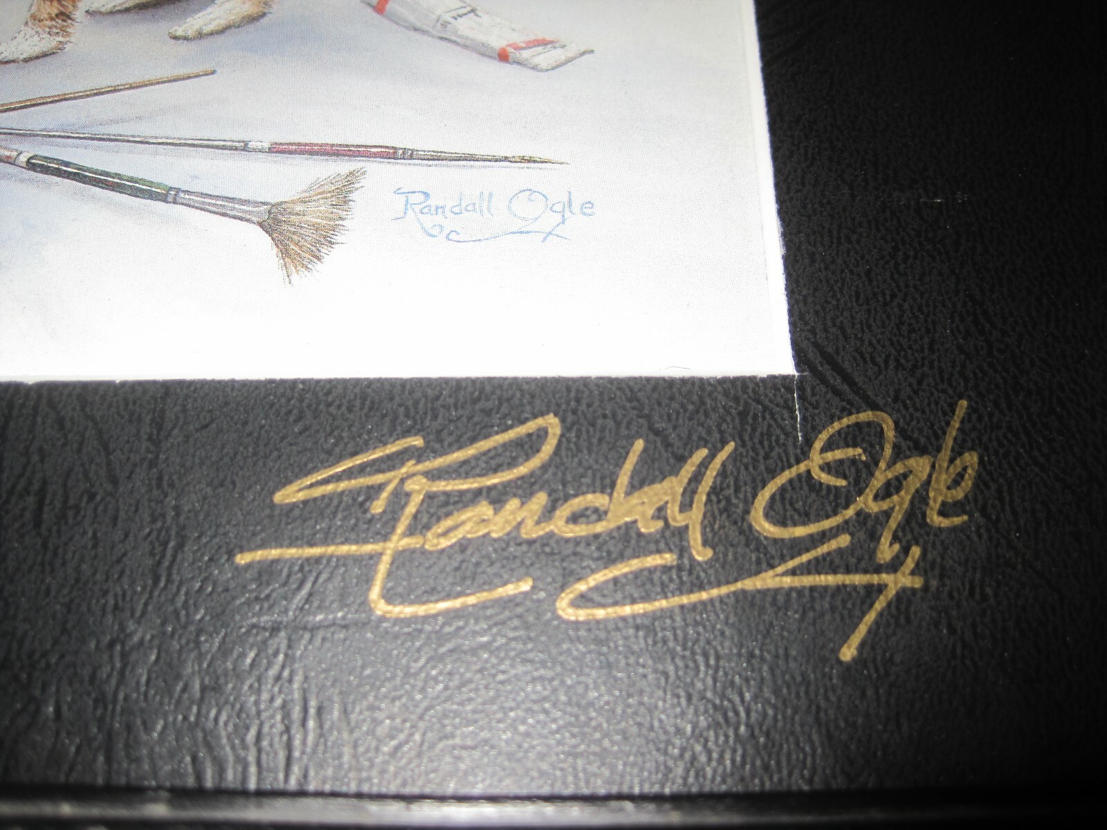 Randall Ogle "Playful Cat & Kittens" signed framed & matted 10"x8" art ...