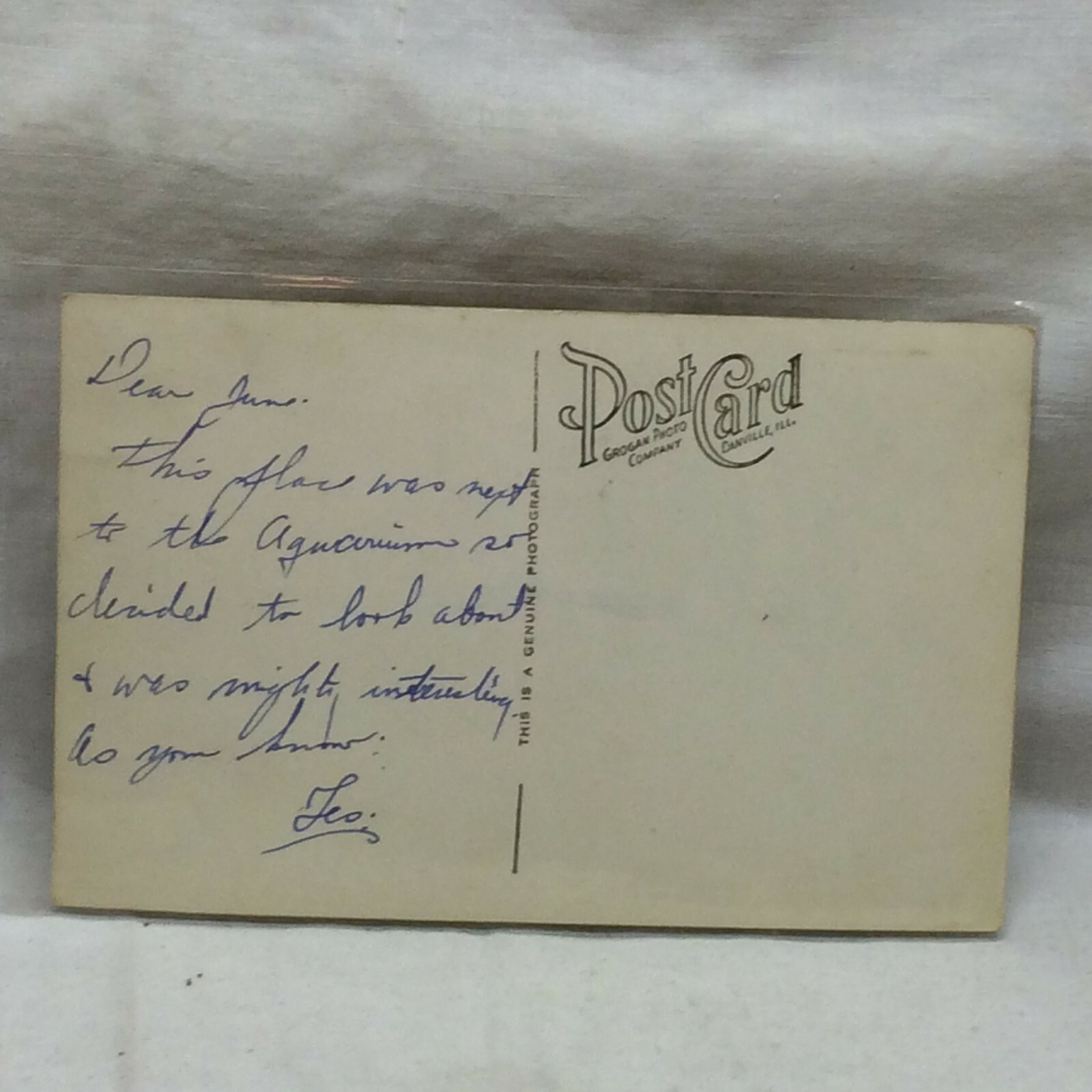 Vintage Real Photo Postcard Chicago Illinois Museum Scene Grogan | eBay