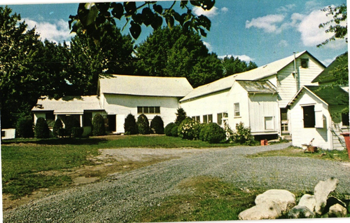 Thompson Ridge NY Pine Bush Bible Camp Building Chrome Postcard 1960s ...