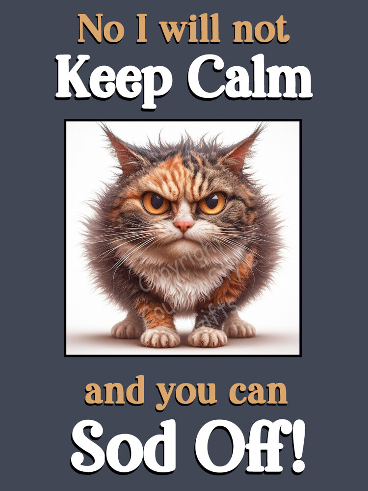 funny grumpy cat sod off gift fridge magnet black white tabby ginger ...