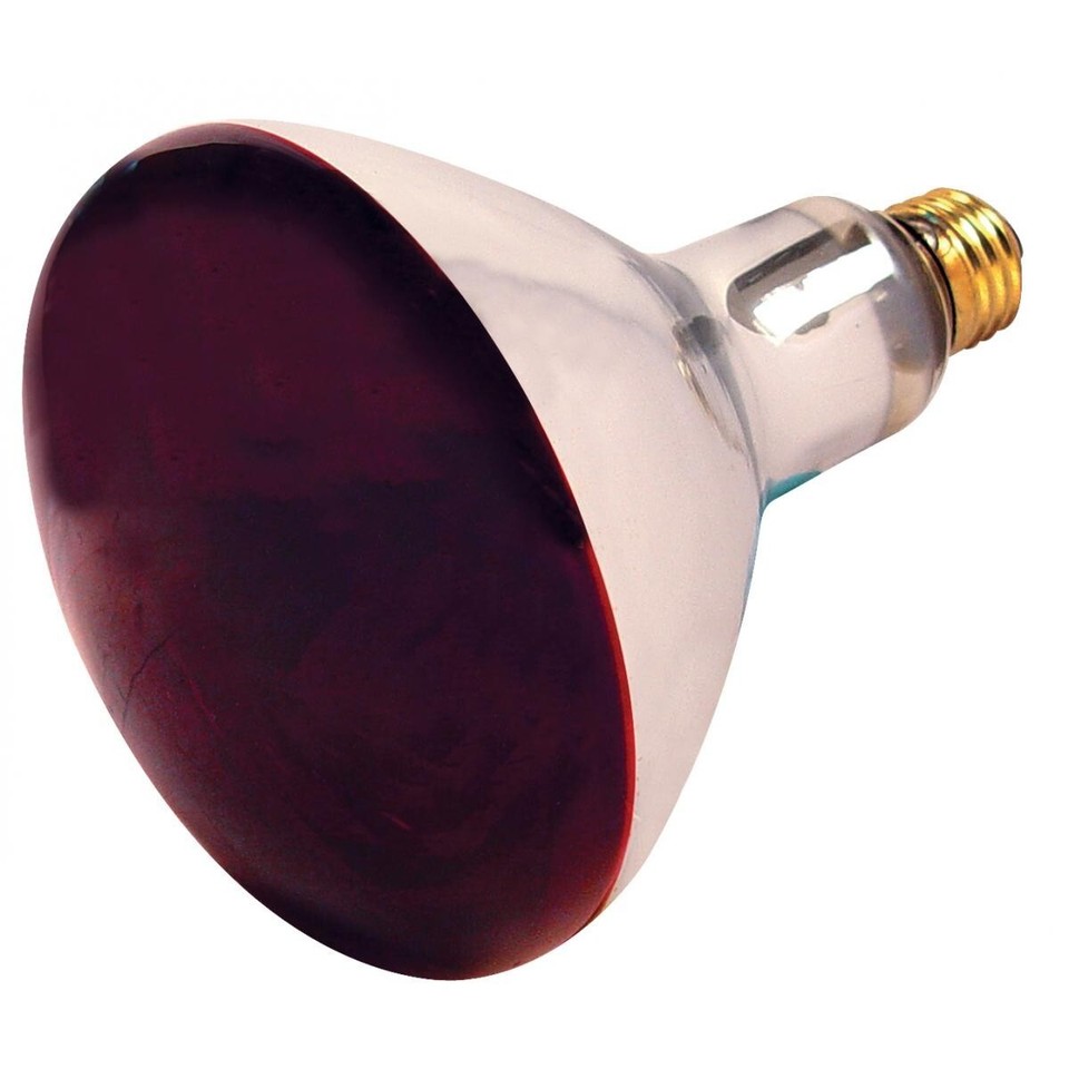 Satco Lighting S4998 - 250 Watt R40 Dimmable Heat lamp - Red Heat (6 ...