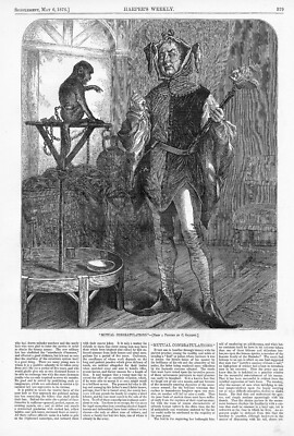 Mutual Congratulations - Monkey - Jester - Contemplating a Partner ...