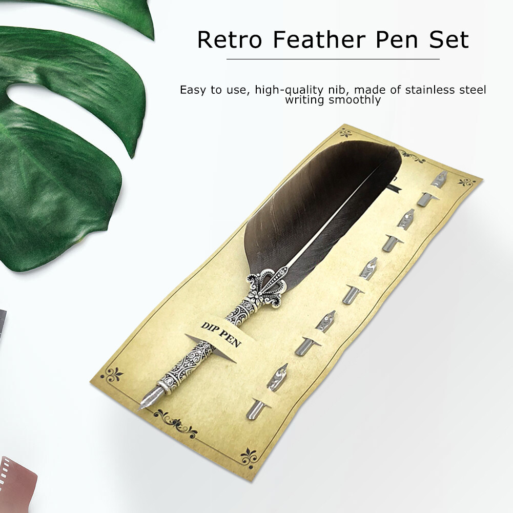 Calligraphy Feather Dip Pen+5 Nib Writing Ink Quill Fountain Pen (Grey ...