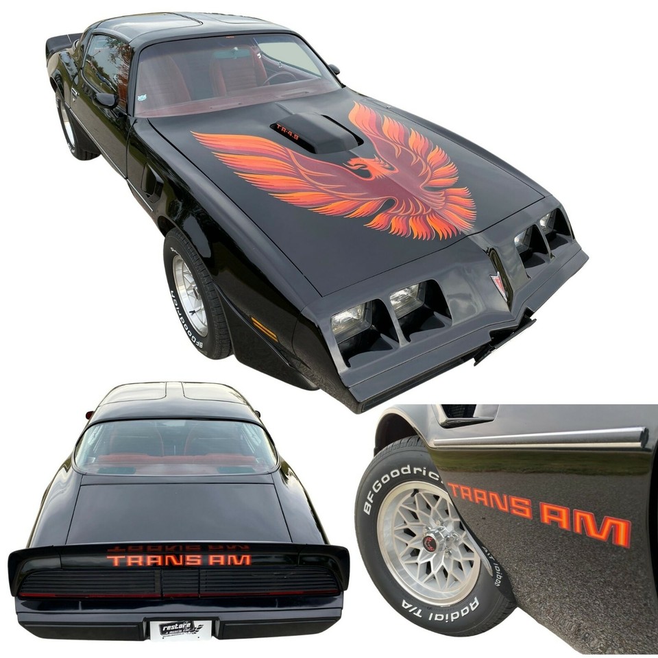 1978-1980 Pontiac Firebird Trans Am Decals Kit with Hood Bird ...