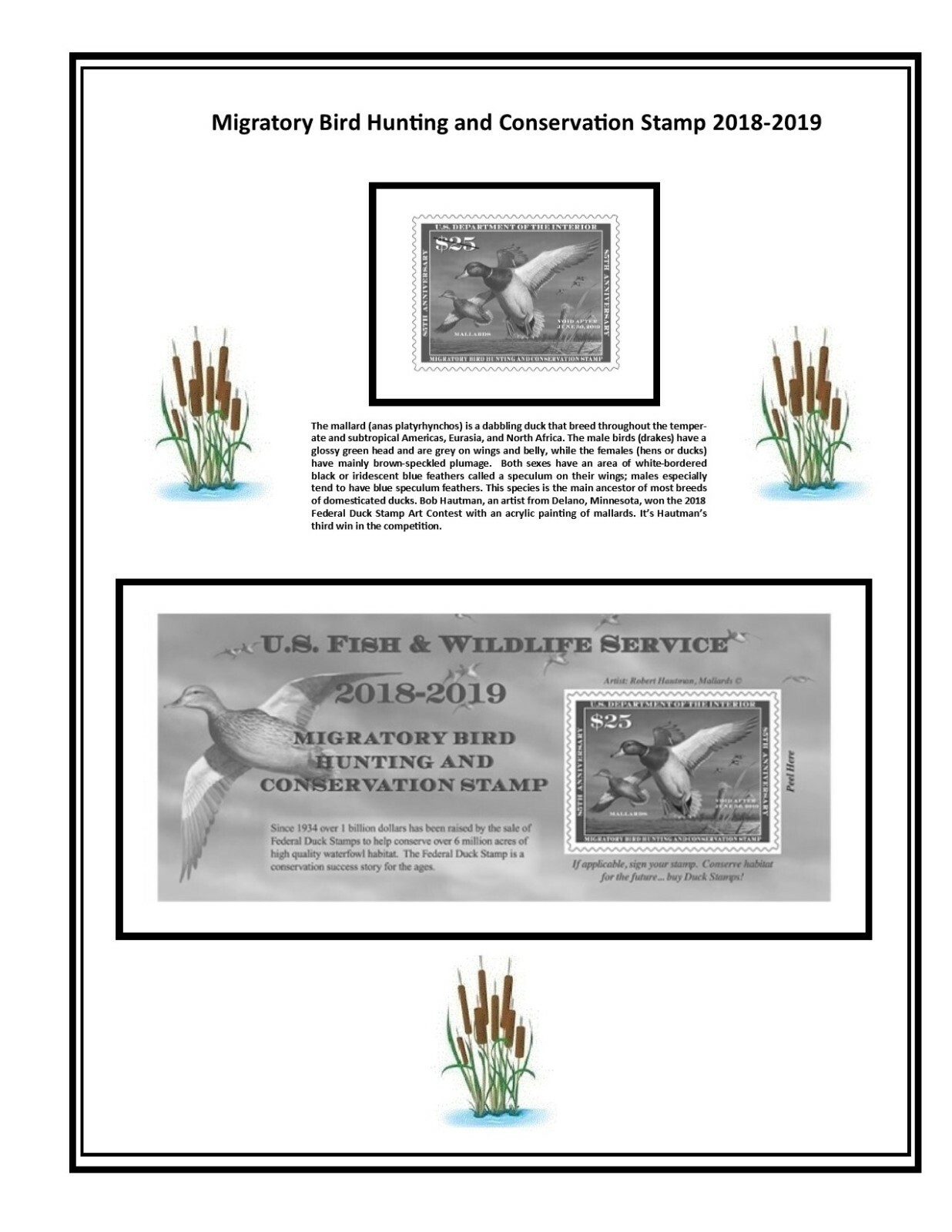 Part II: Mac's RW65-latest 1998-current U.S. Federal Duck Stamp Album ...