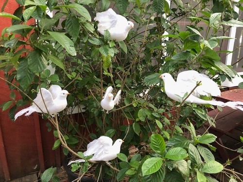 Lot of 5 Large White Doves Ornaments Wired Feet Real Feathers, Birds ...