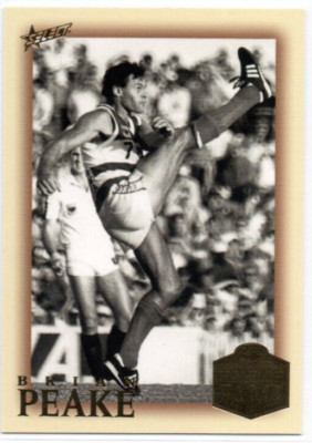 2018 AFL HALL OF FAME (SERIES 5) CARD - HF228 Brian PEAKE (WAFL ...
