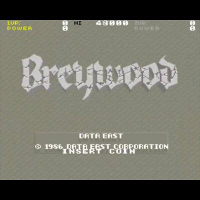 Used Breywood Shackled P.C.Board Arcade Game Board DECO JAMMA 1986 from ...