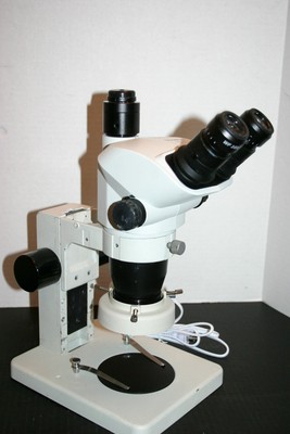 Microscopes - Stereozoom 4 Microscope