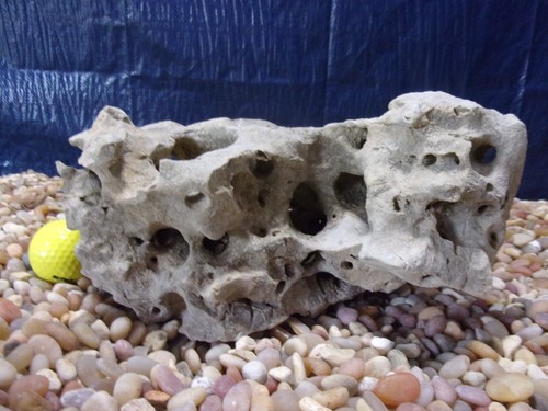 Texas/Tennessee Holey Rock, Aquarium, Fish Decorations, Honeycomb ...