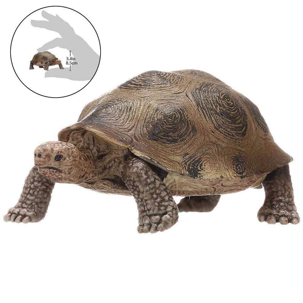 Schleich Wild Life Realistic Giant Tortoise Figurine | eBay