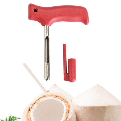 Stainless Steel Holes Maker Puncher Extract Coconut Water Effortlessly ...