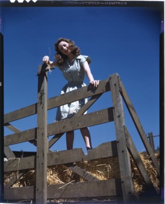 Jeanne Crain in hayloft vivid color 1940's original 5x4 Transparency | eBay
