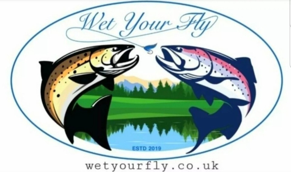 CDC Pin Fry Pattern Size 10 Barbed | eBay UK