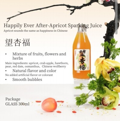 Hope Water Sparkling drinks Apricot Flavor 300ML Glass bottle | eBay ...