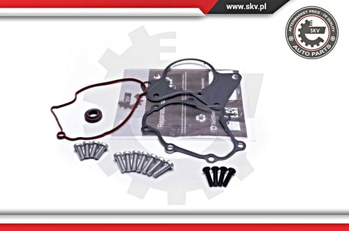 Vacuum Pump Repair Kit For VW Multivan T5 Touareg 03-10 070145209J | eBay
