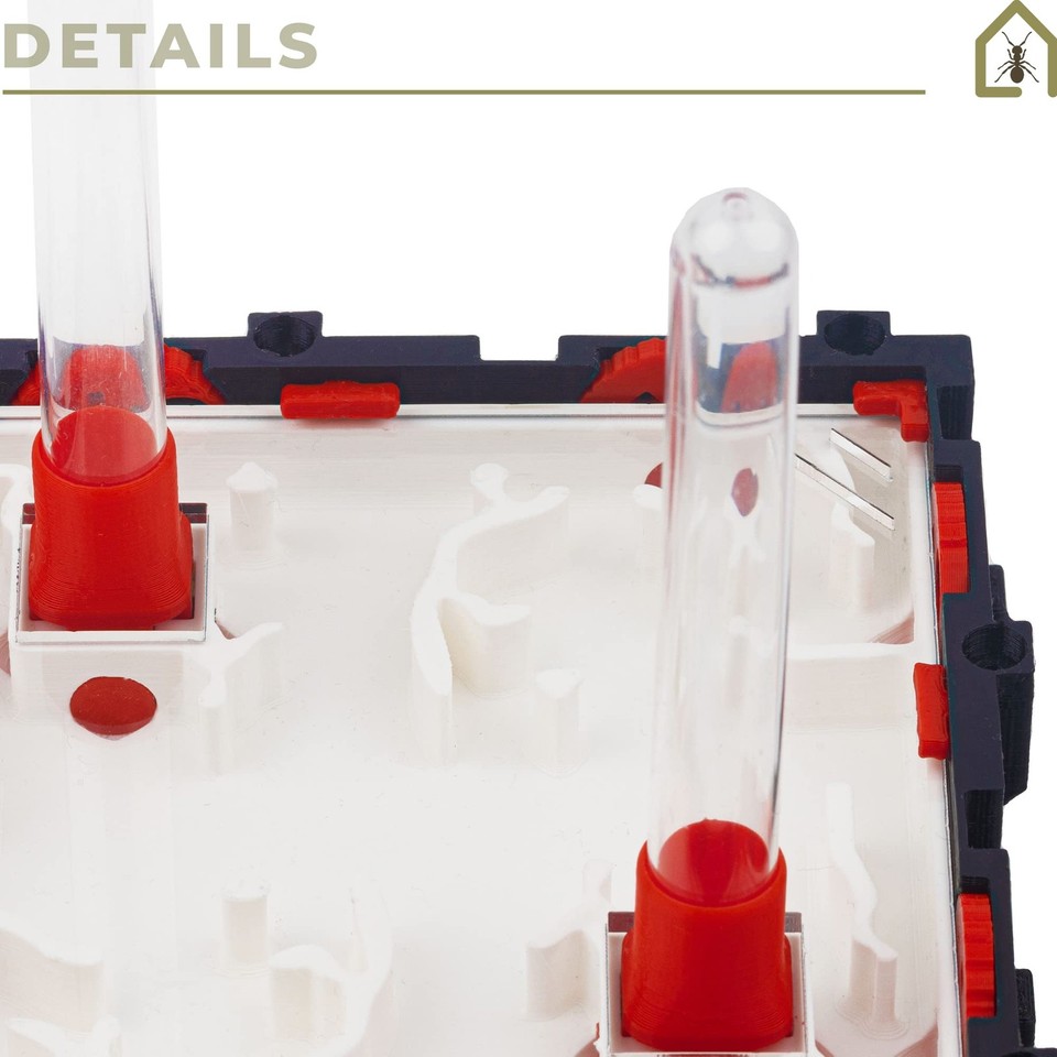 Anthouse es Formicai Modulari 3D Modello QBIK QuaDra 12,78x12,78x5 cm Colonie di | eBay