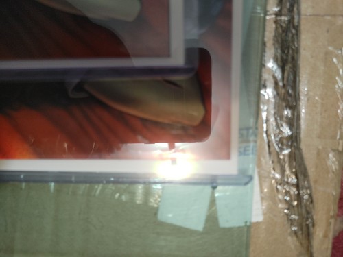 ZOMBIE TRAMP #56B FOIL MEGACON 2 Book Set By JOSE VARESE Ltd 50 NM W ...