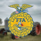 Ffa Stickers | eBay