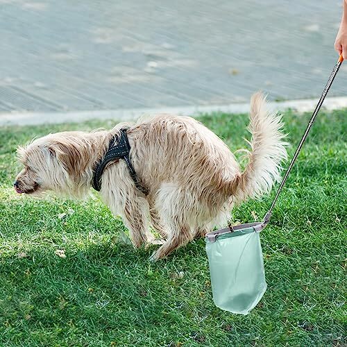 Dog Poop Catcher with 120 Bags - 52" Extendable Handle, No Cleaning ...
