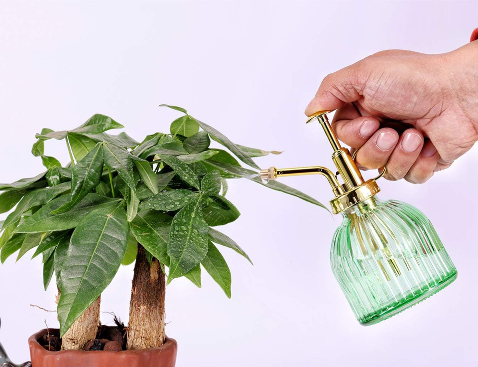 Glass Plant Mister Spray Bottle, 6.5" Green Glass Water Spray Bottle ...