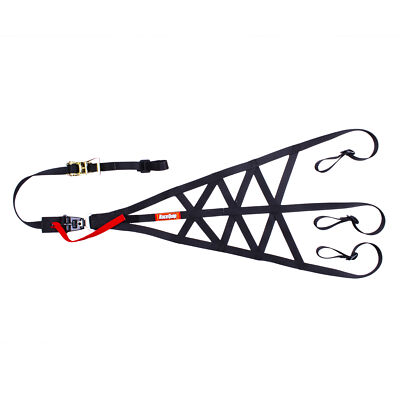RaceQuip Right Side Triangle Roll Cage Net Black 24 in. H x 46 in. W | eBay
