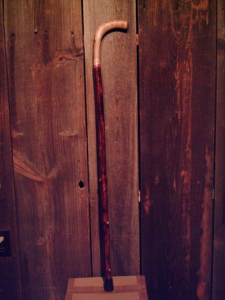 walking stick cane natural grown ROOT HANDLE for AVERAGE size hands ...