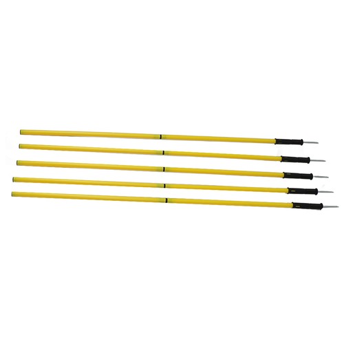 Soccer Agility Poles 10Pcs 1.5m Speed And Agility Training Poles FF ...