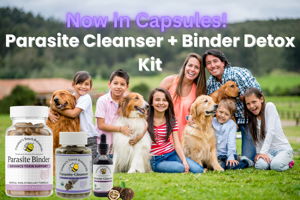 Parasite Binder Capsules 60 Veg Caps – Detox Support, Natural Cleanse ...