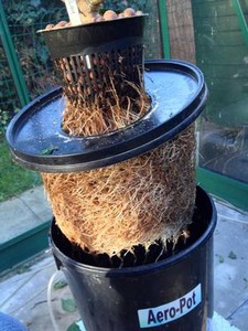 Aero-Pot DWC 5L, Pump + Air Stone + Tubing + lvl Indicator, 3" Pot ...