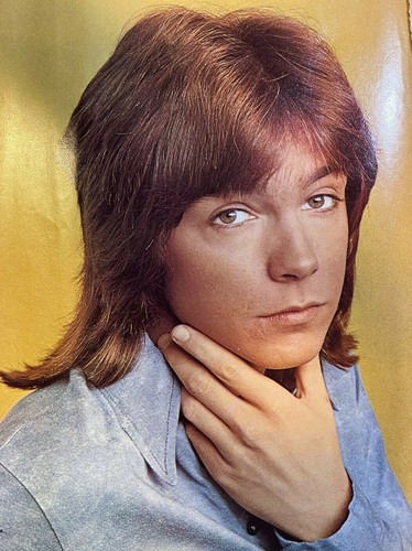 1972 Vintage Magazine Illustration Singer David Cassidy Keith Partridge ...