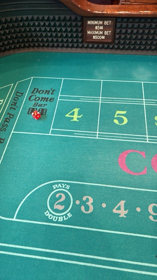 Craps Table Top Durable Wooden Game Accessory | eBay