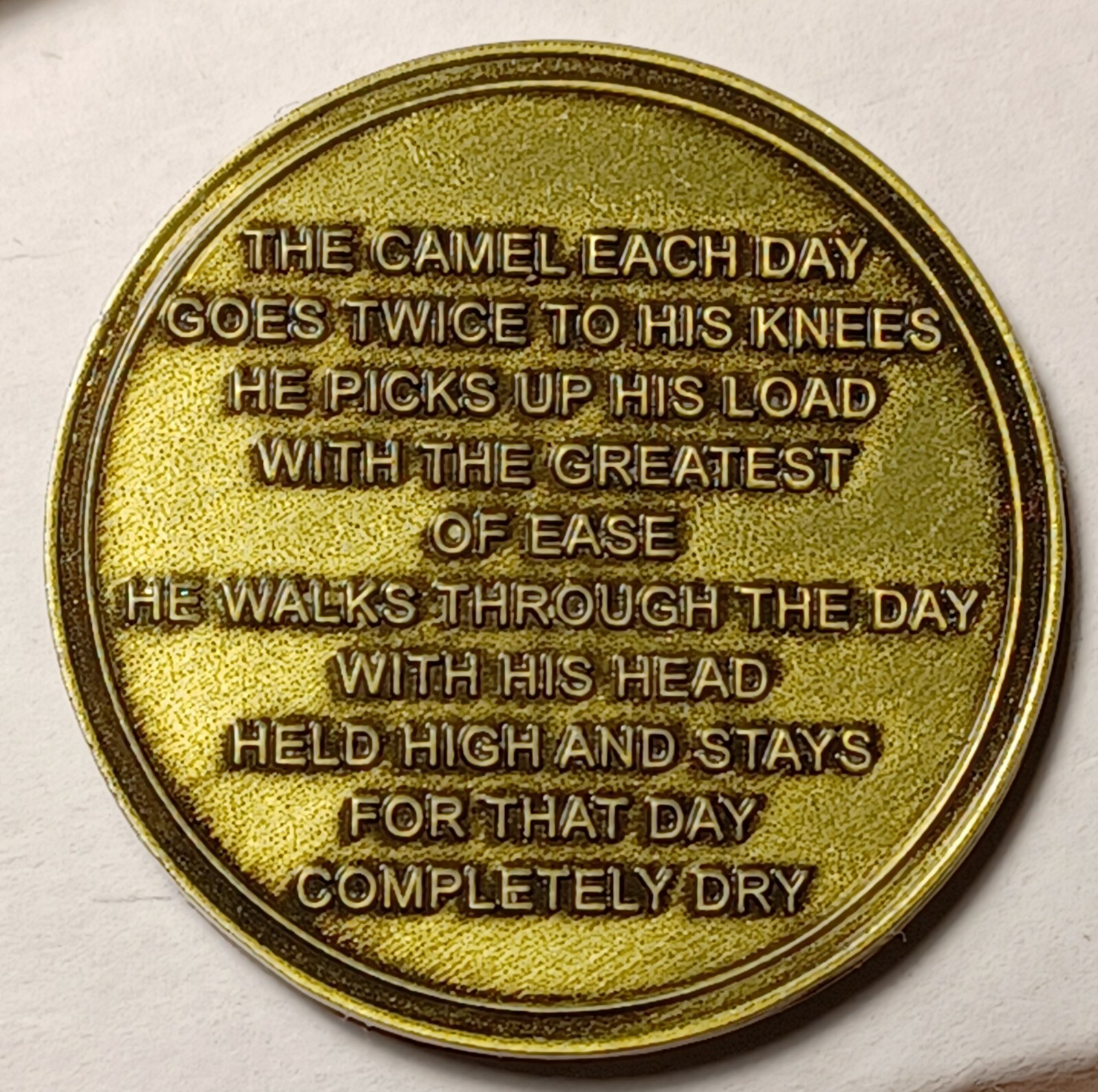 AA Camel Keep Coming Back Bronze Recovery Coin affirmation medallion | eBay