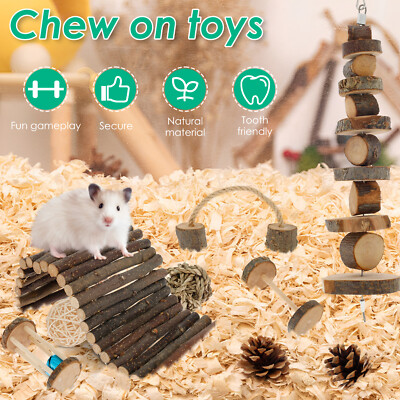 Hamster Toys Set Natural Wood Guinea Pig Toys Teeth Caring Hamster ...