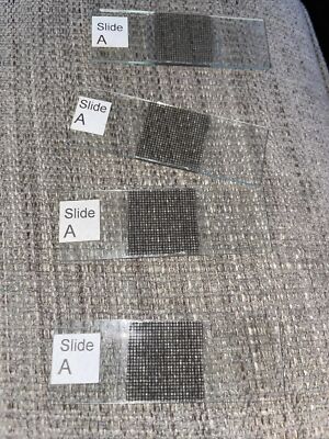 4 vintage prepared microscope Glass slides - low/high power activity ...