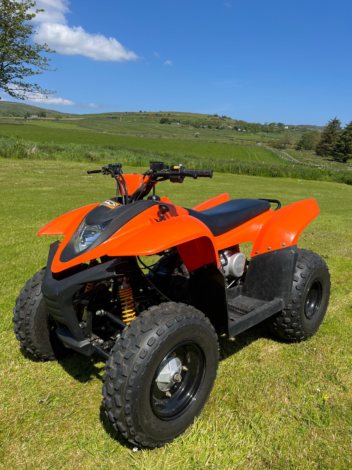 SMC Hornet 100cc Quad Bike | eBay UK
