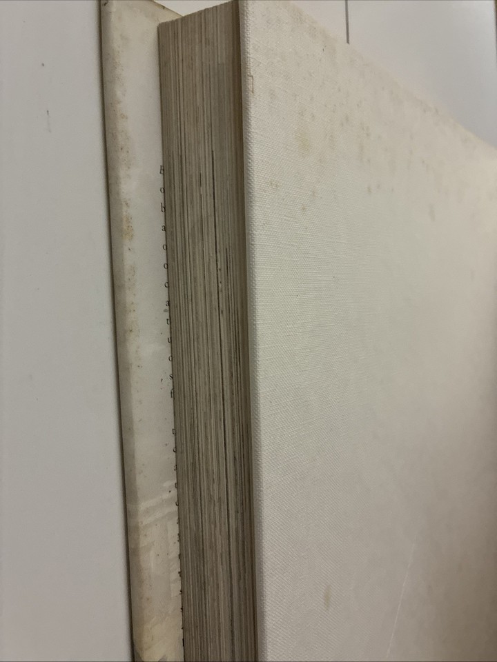 Egypt Lost and Found Explorers and Travellers on the Nile by Alberto ...