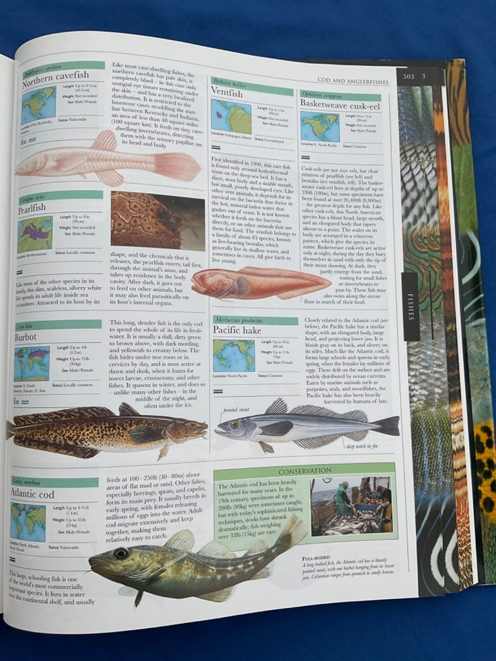 2001 DK ANIMAL THE DEFINITIVE VISUAL GUIDE TO THE WORLD'S WILDLIFE ...