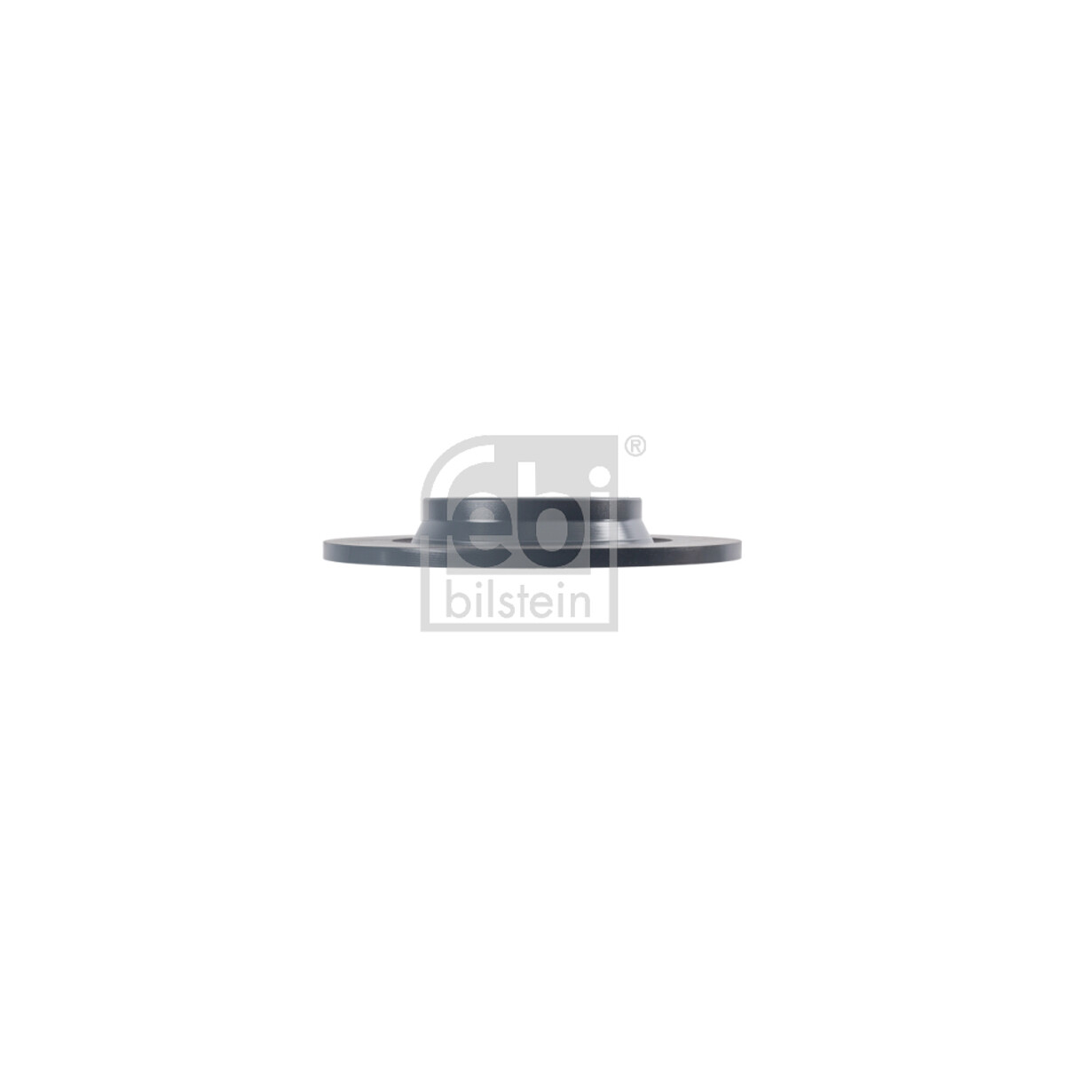 FEBI Bremsscheiben Ø 320mm für MERCEDES W/V177 W247 C/X118 hinten ...