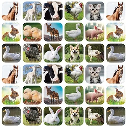 Domestic Animals Collage