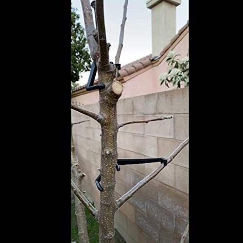 Fruit Tree Branch Limb Spreader For Strong Spreading Crotch Angles ...