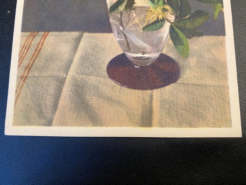 Vtg Rosa Canina Bontanical Post Card " Thor Gyger Number 3214 " NOS" | eBay