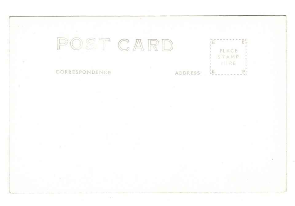 RPPC Papaya Tree English Setter Dog Miami FL Florida RE Simpson EKKP ...
