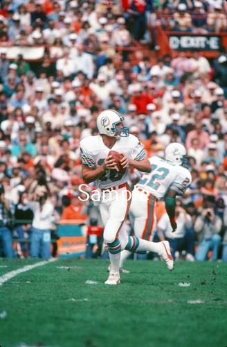 David Woodley Miami Dolphins 8x10 Football Photo Poster Print DW2 | eBay
