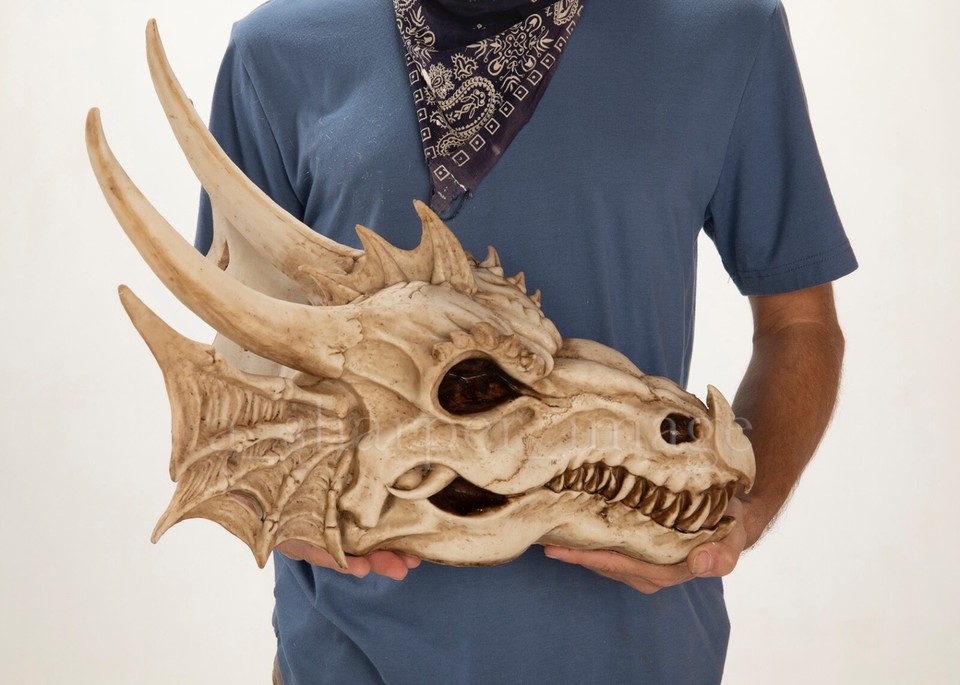 Dragon Skull LARGE 20" Statue Figurine 'Bone' Finish Fantasy Superb ...