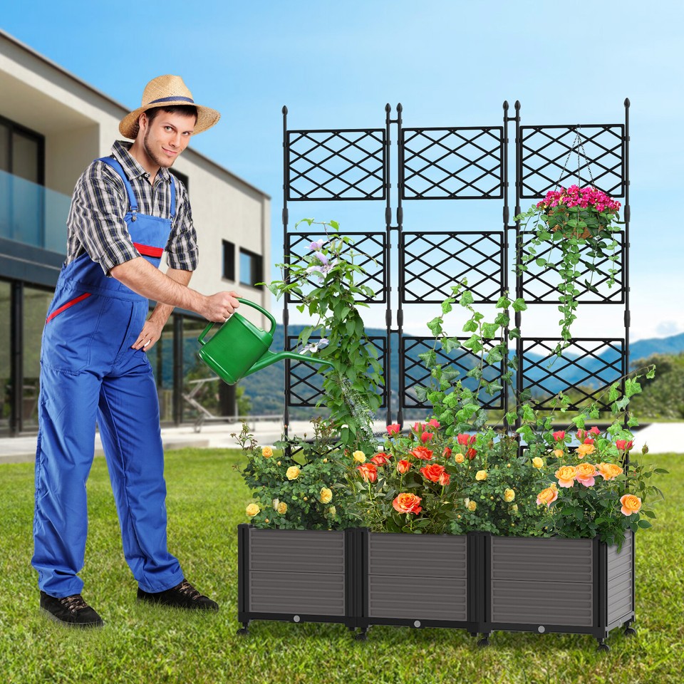 NAIZEA Raised Garden Bed & Tomato Planter Cage Trellis Planter Boxes ...