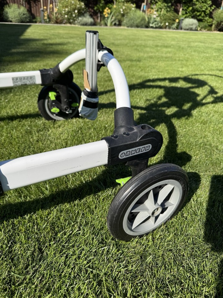 Grillo by Ormesa Gait Trainer And Walker Size S Exceptional Condition ...