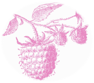 Razzberries Studio | eBay Stores